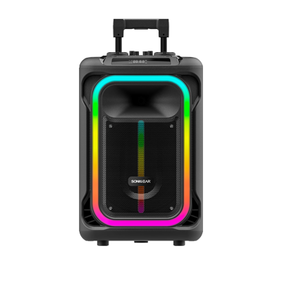 Speaker